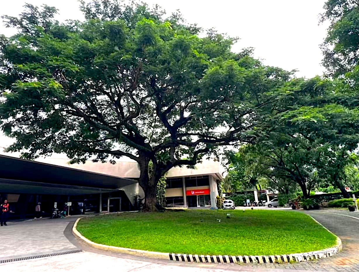 UnionBank Unveils New Branch At ACO Banilad | Aboitiz Eyes